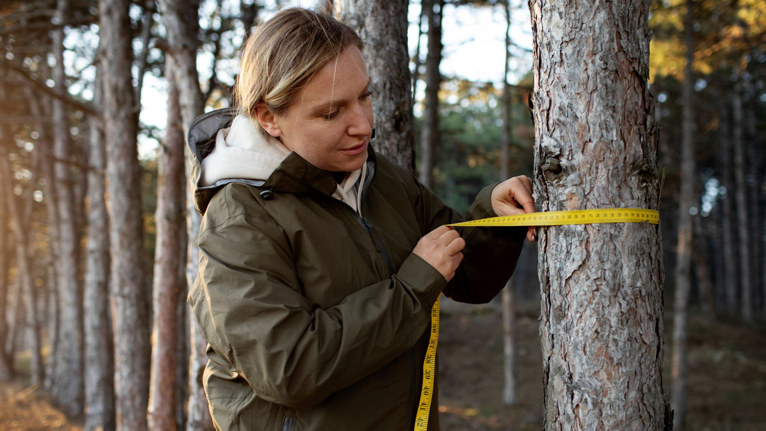 GIS Coastal Indonesia – We are a company dedicated to the protection ...